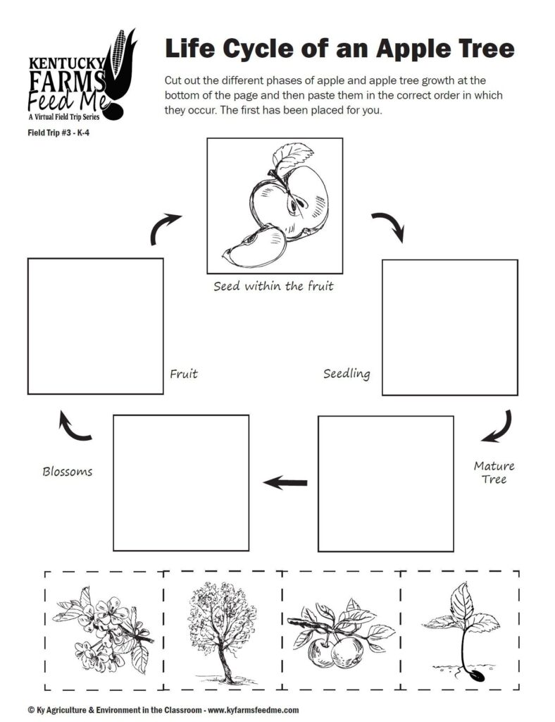 Printable Apple Tree Activity - kids Printable