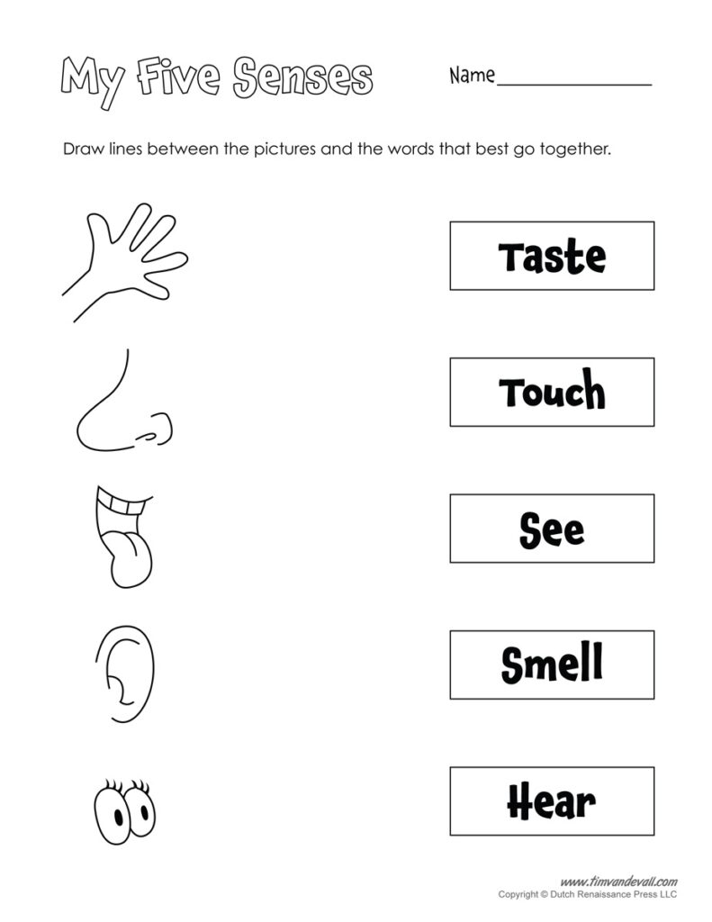 Printable Five Senses Pictures - kids Printable