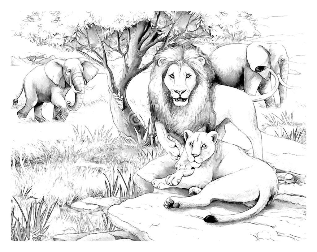 Lion Drawing Color - kids Printable